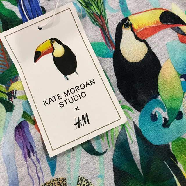 Kate Morgan RI collaboration with H&M Kids – Royal Institute of ...