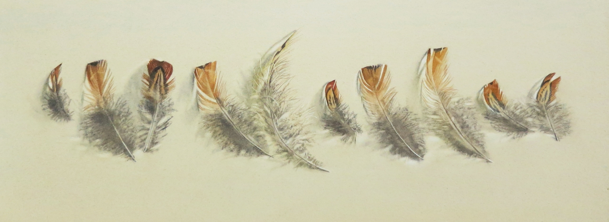 Lillias August RI exhibits… – Royal Institute of Painters in Water Colours